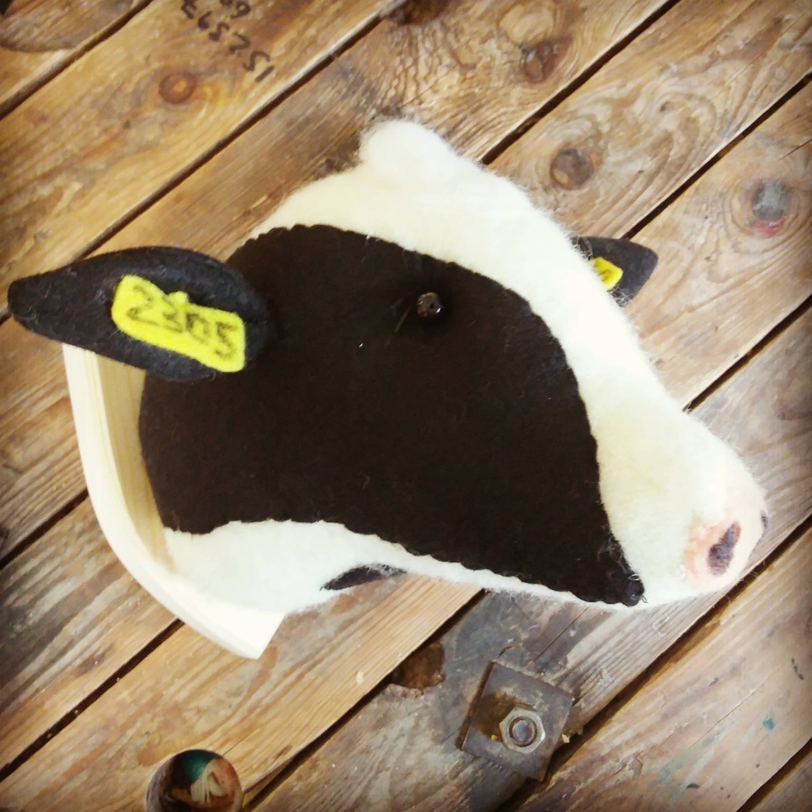 Heffer Cow Wall Mount - Etsy UK