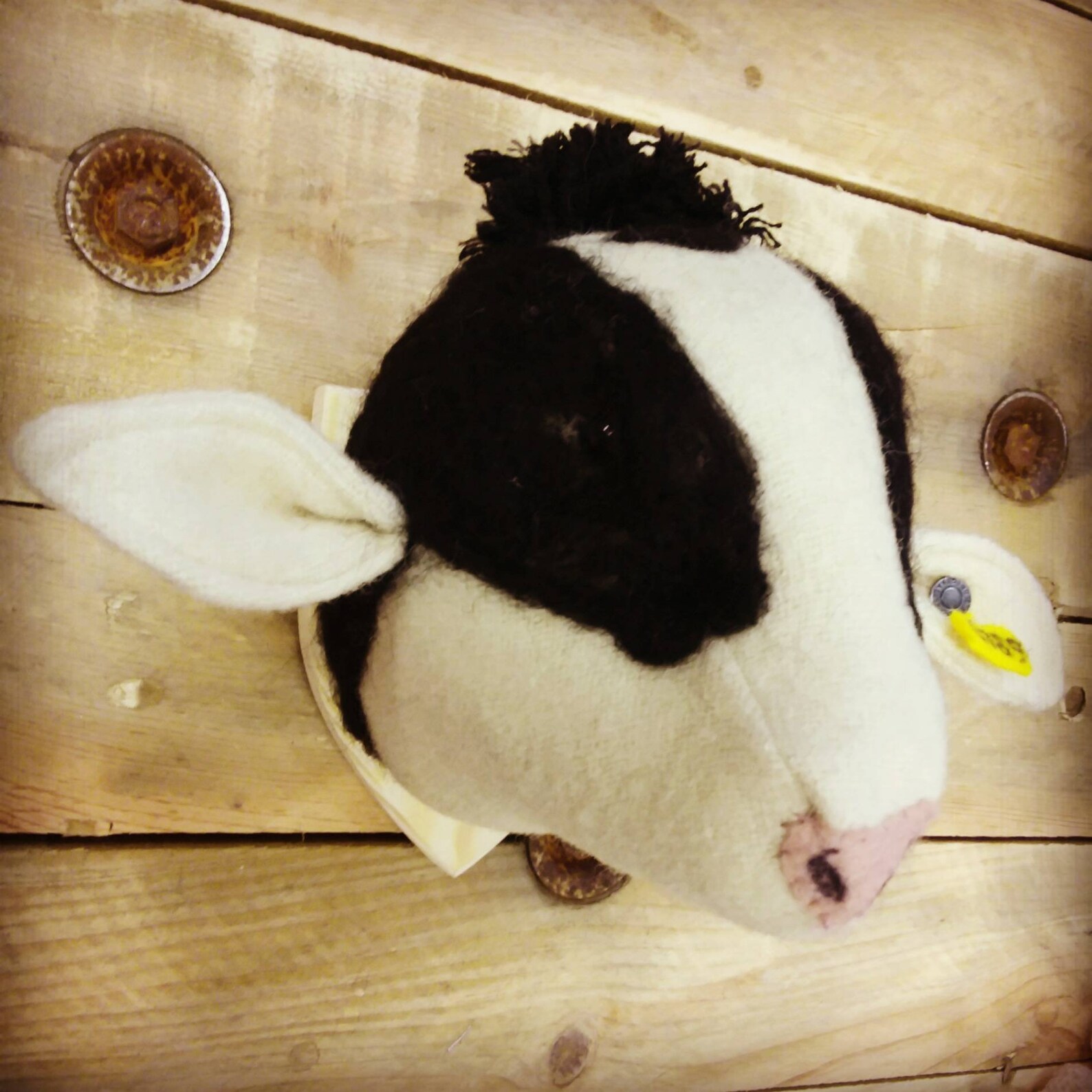 Heffer cow wall mount | Etsy