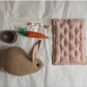 Rabbit in a Box - Etsy