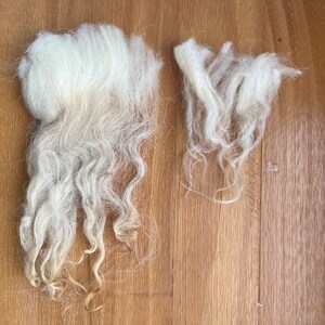 Icelandic Wool Fleece 1oz - Skirted, Raw - Etsy