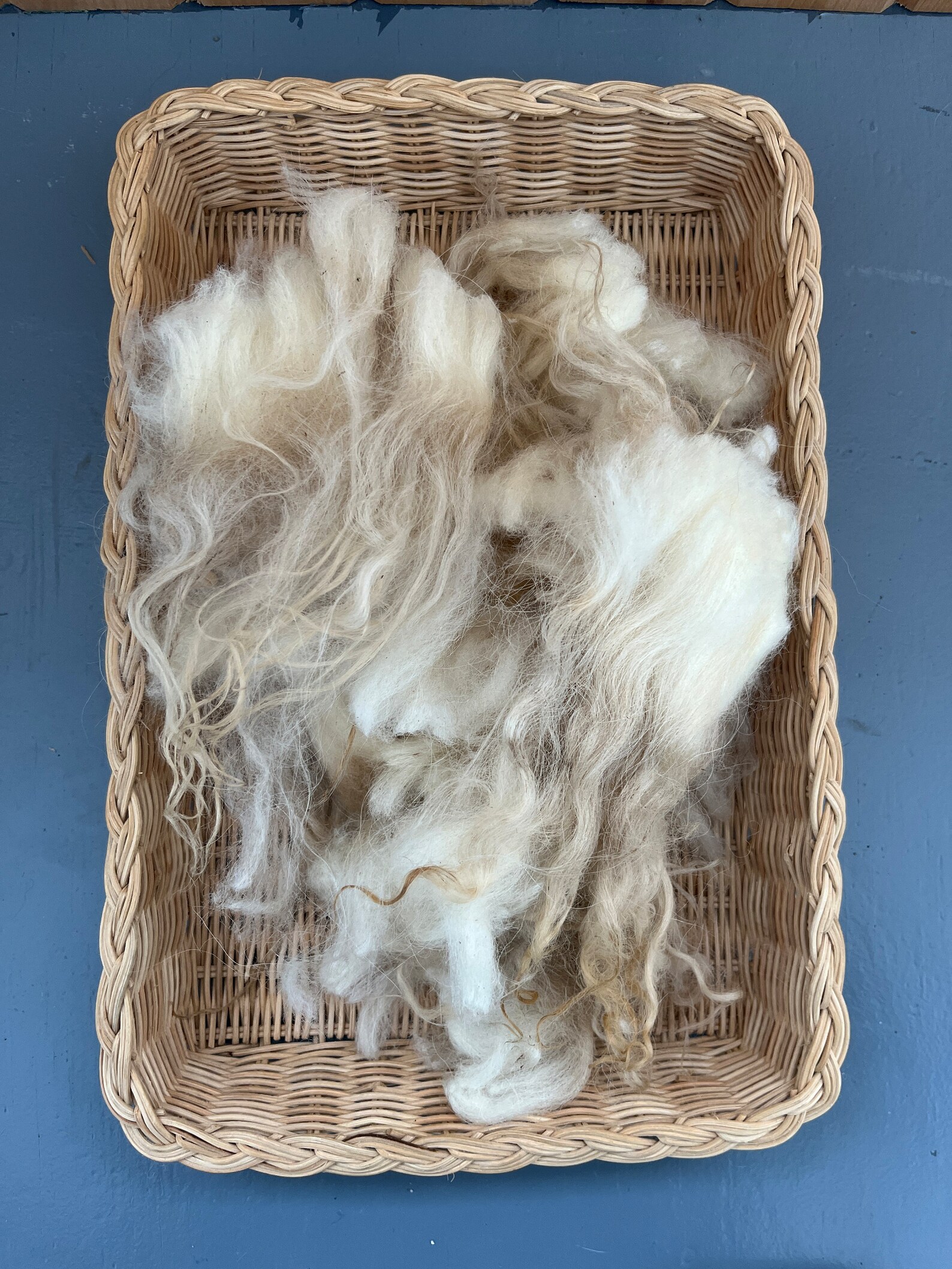 Icelandic Wool Fleece 1oz - Skirted, Raw - Etsy