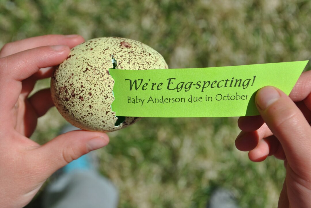 Message in an Egg. Pregnancy Announcement. Gender Reveal Egg. Promposal ...