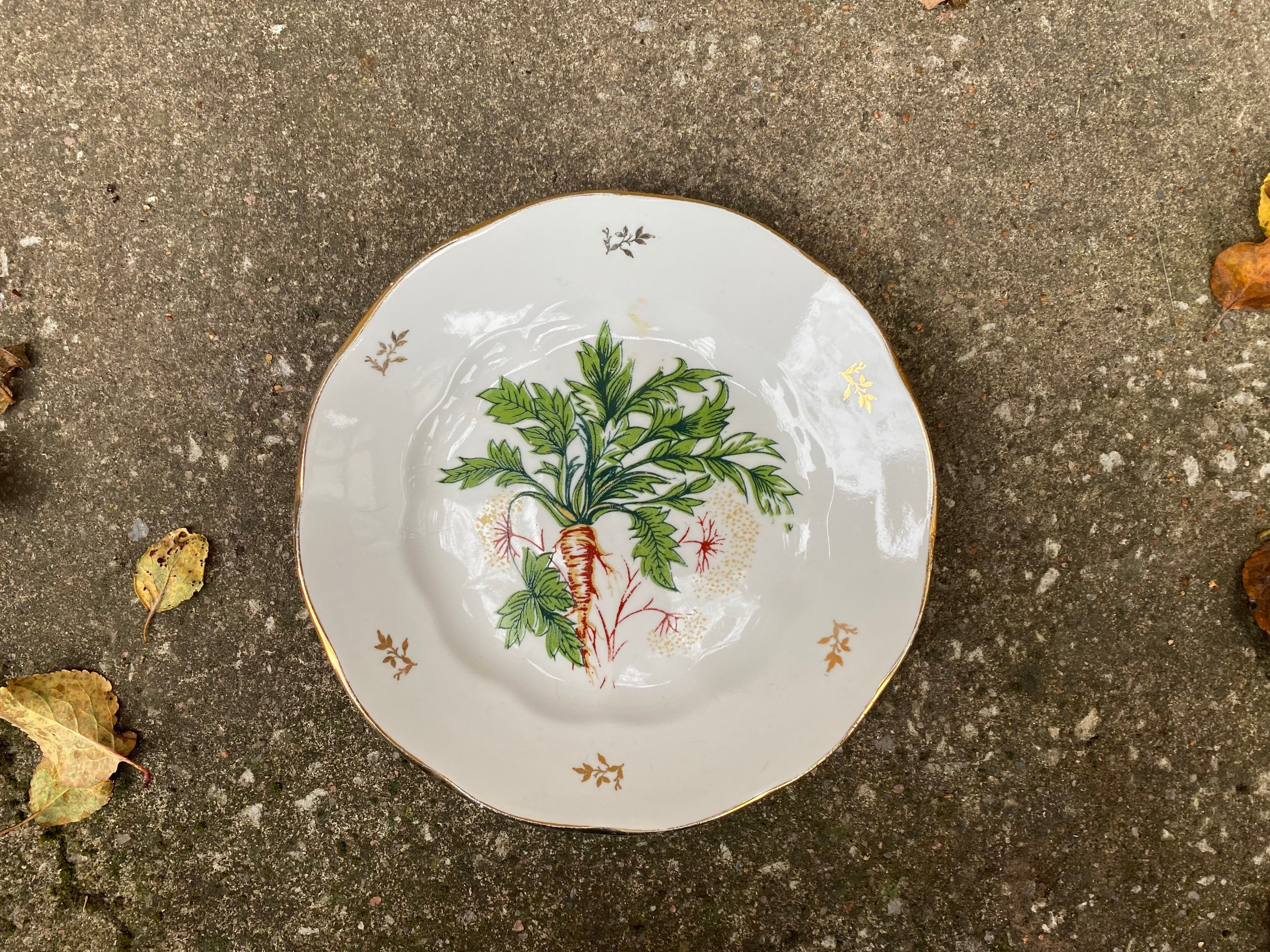 Riga Small Plates 5 Riga Porcelain Factory Dessert Cake Side Plate ...