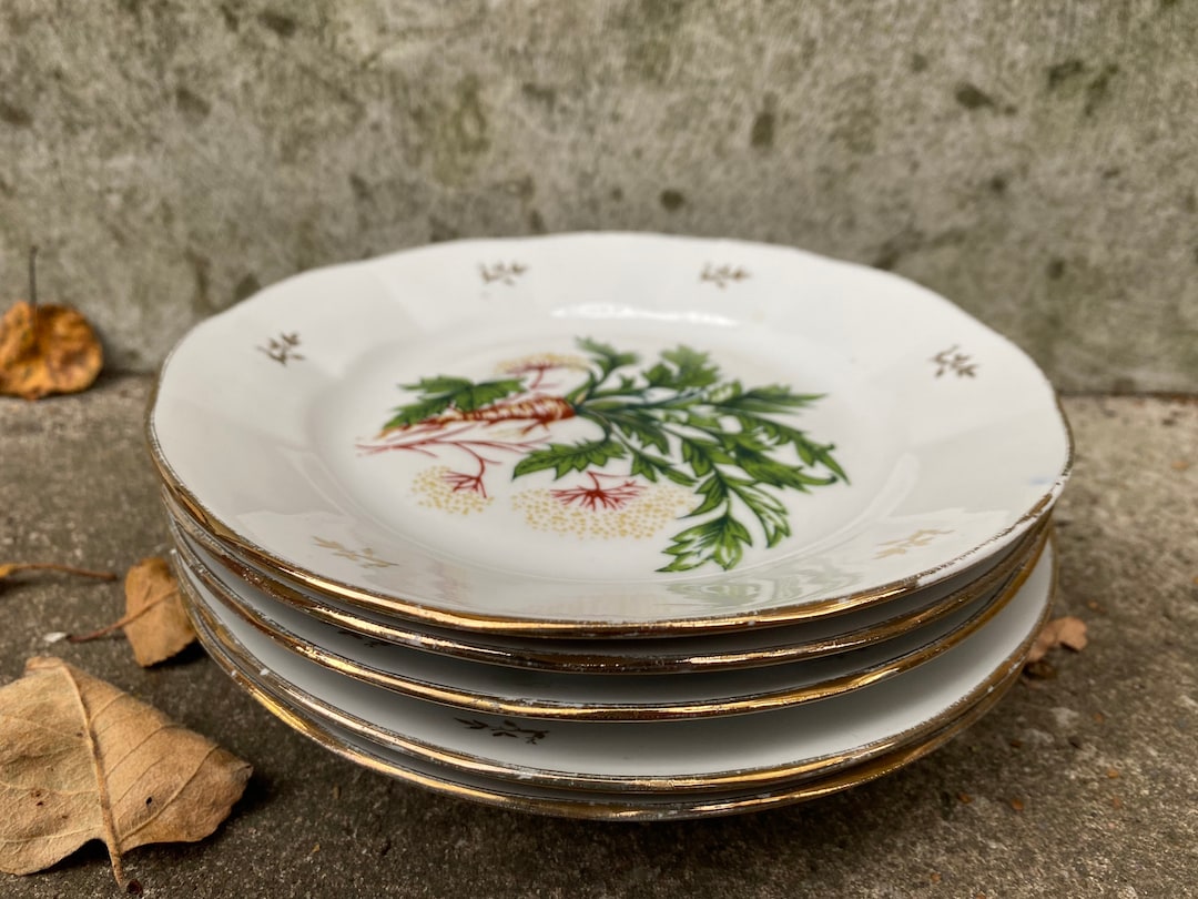 Riga Small Plates 5 Riga Porcelain Factory Dessert Cake Side Plate ...