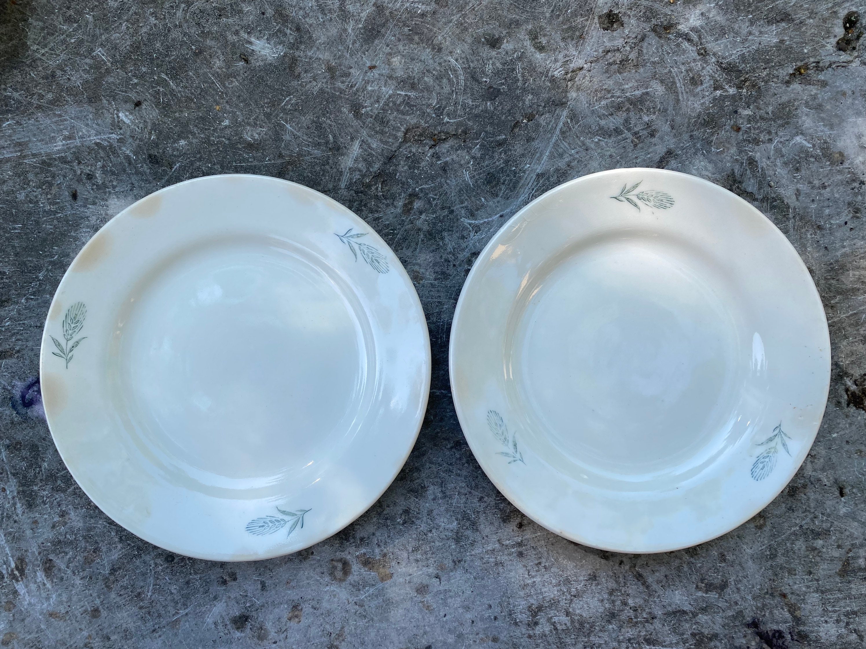 Riga Porcelain Plates Riga Porcelain Factory Green Flowers Dessert Cake ...