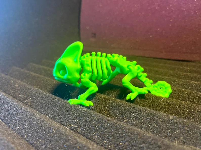 Skeleton Chameleon 3d Printed - Etsy