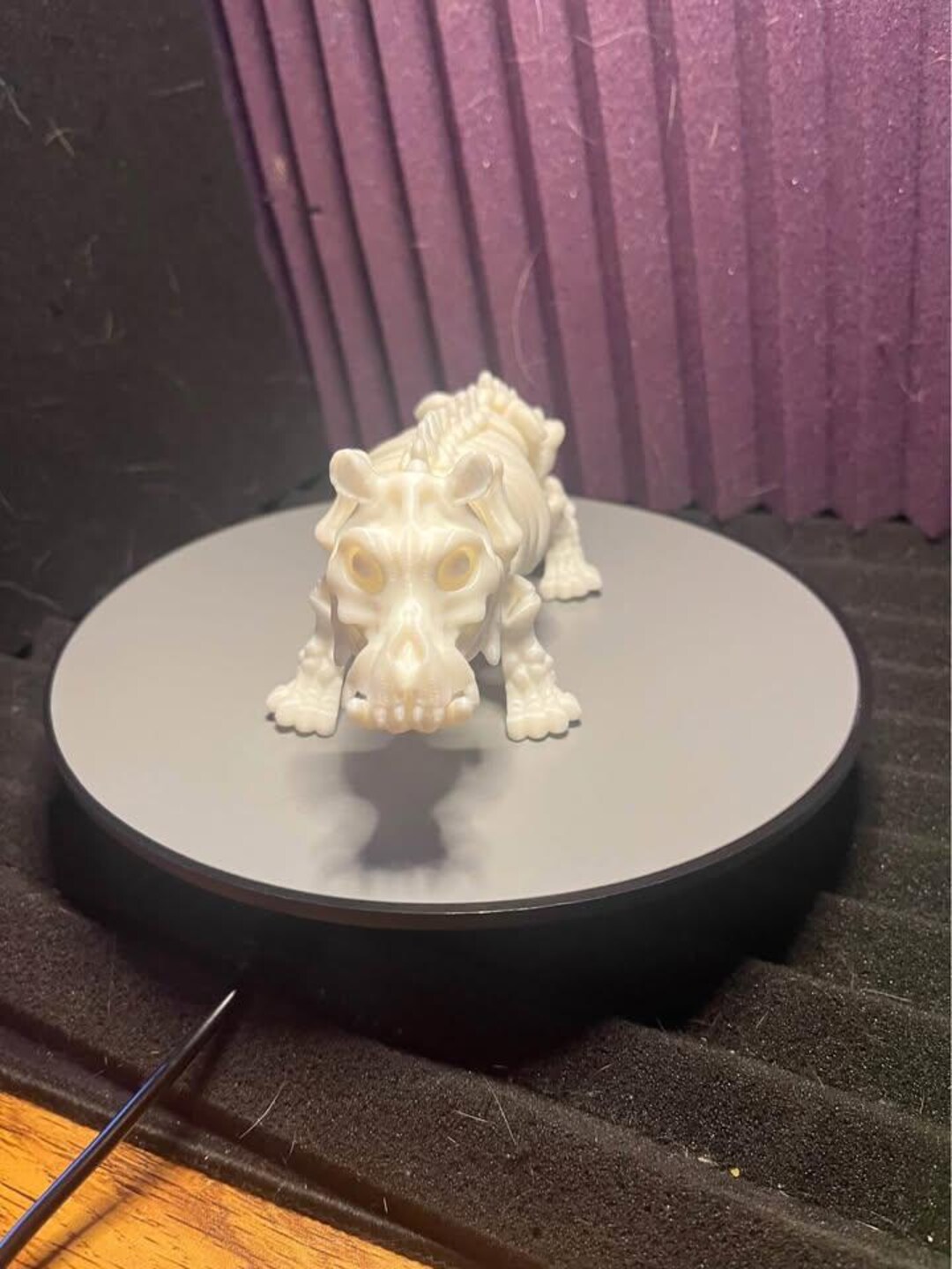 3d Skeleton Hippo - Etsy