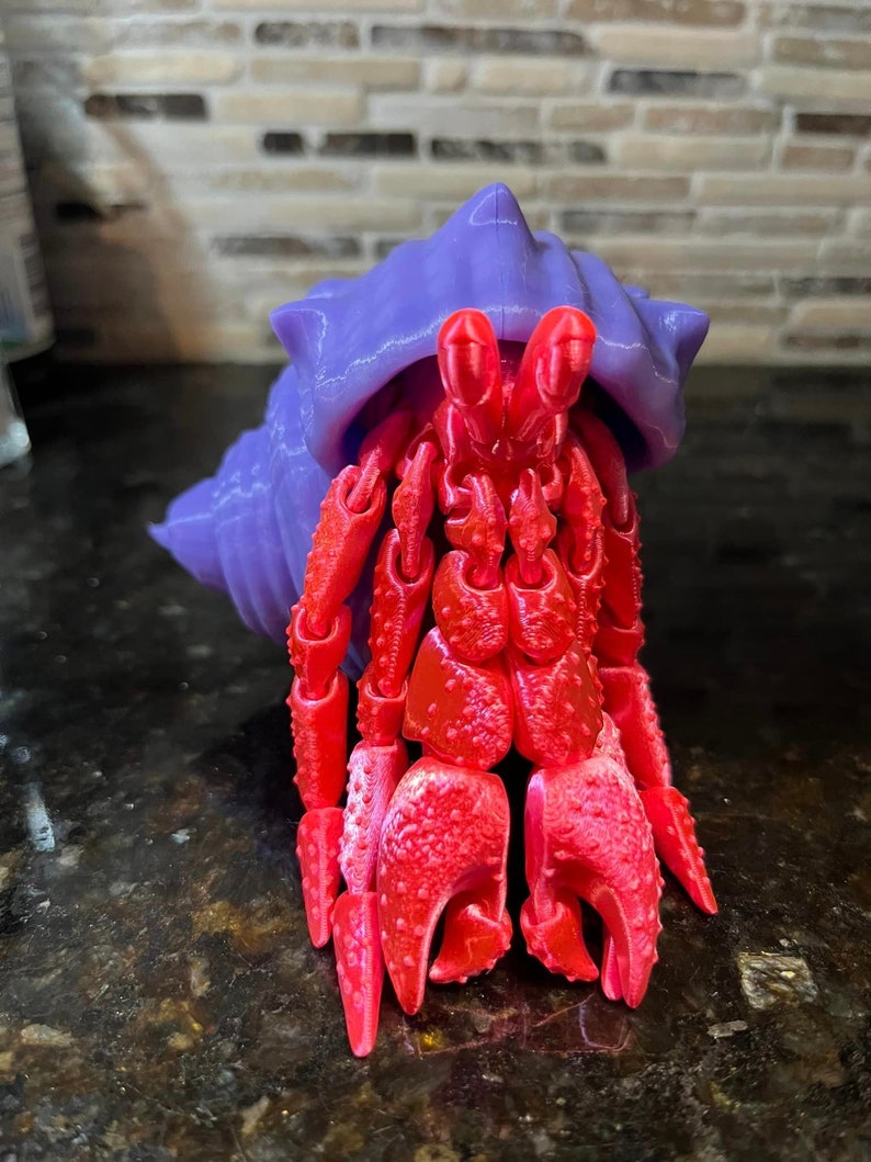 3d Printed Fidget Hermit Crab - Etsy