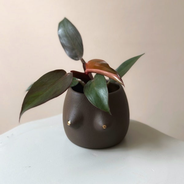 Boob Planter - Etsy