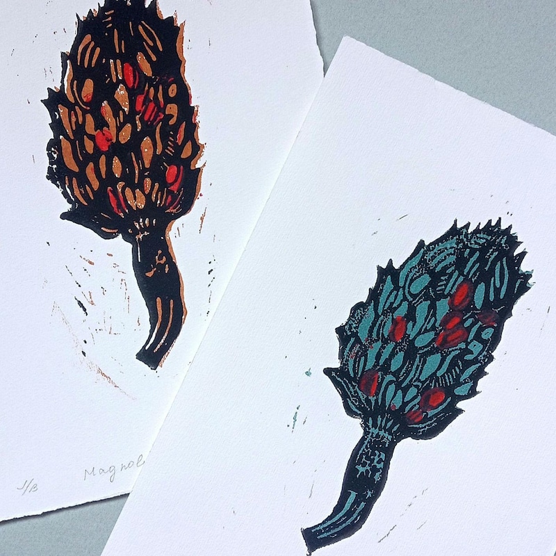 Unusual Seed Pods - Etsy