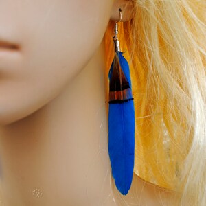 Long Narrow Blue Feather Earrings Real Feather Earrings | Etsy