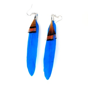 Long Narrow Blue Feather Earrings Real Feather Earrings | Etsy