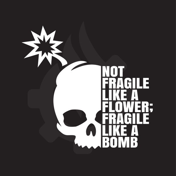 Bomb Decal - Etsy