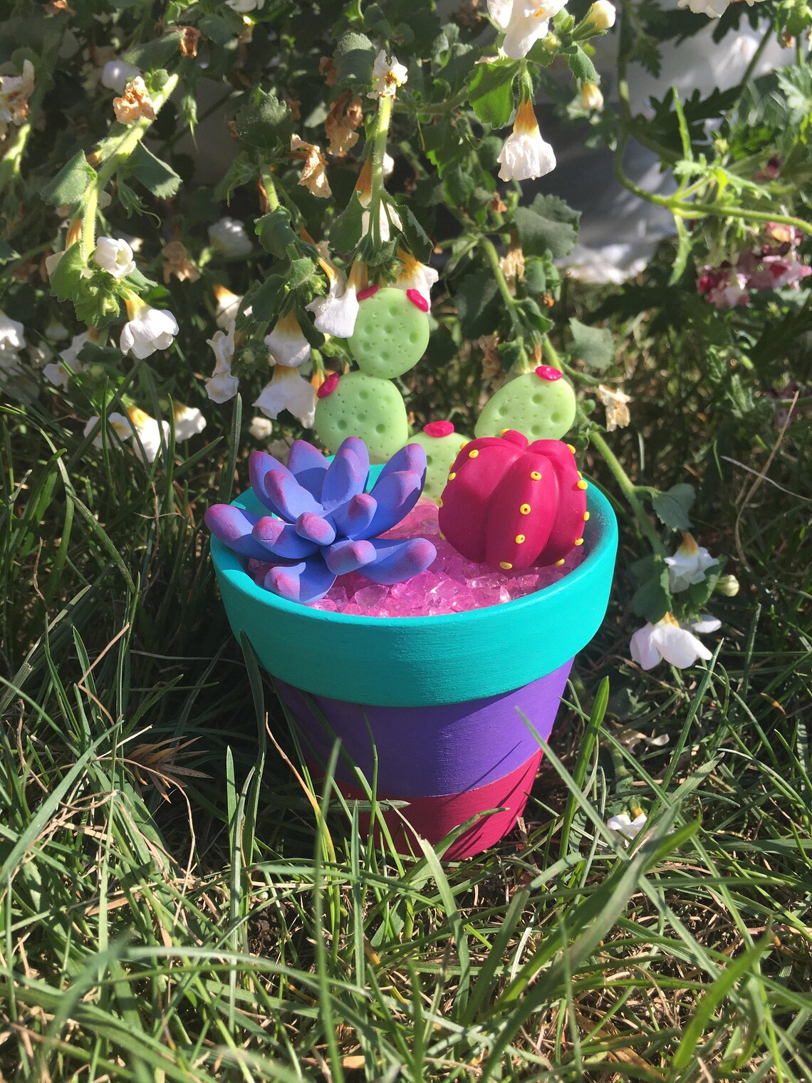 Hippie Boho Decor Rainbow Glow in the Dark Succulent - Etsy