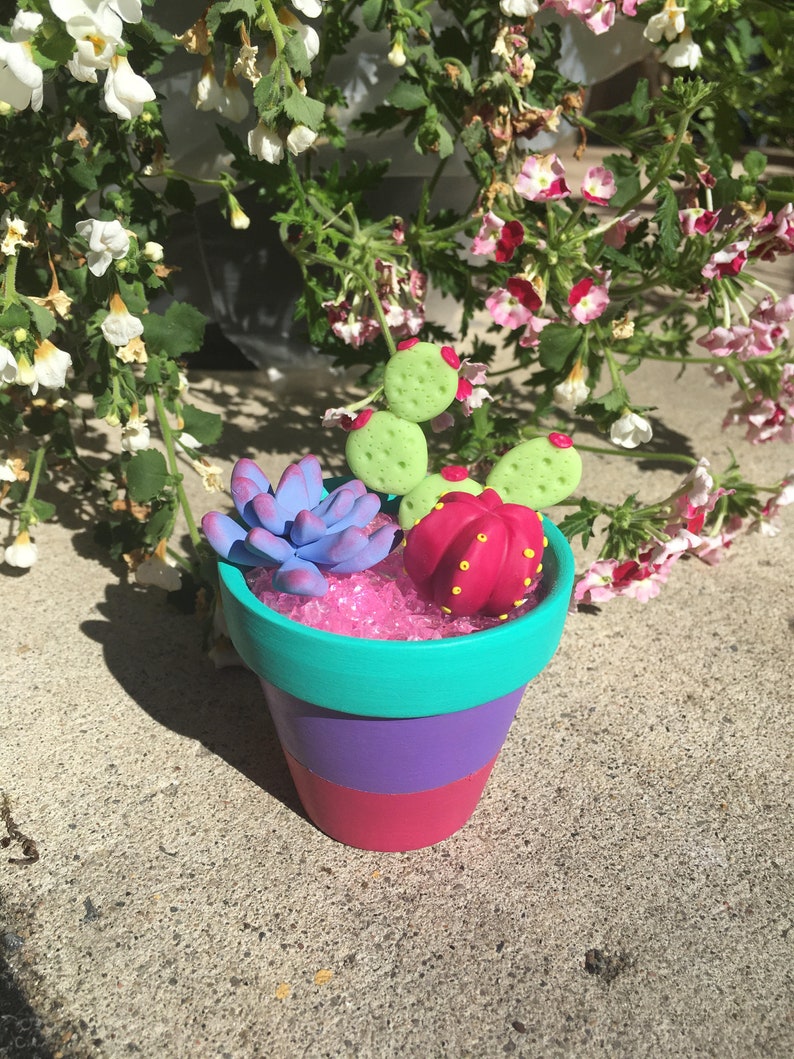 Hippie Boho Decor Rainbow Glow in the Dark Succulent - Etsy
