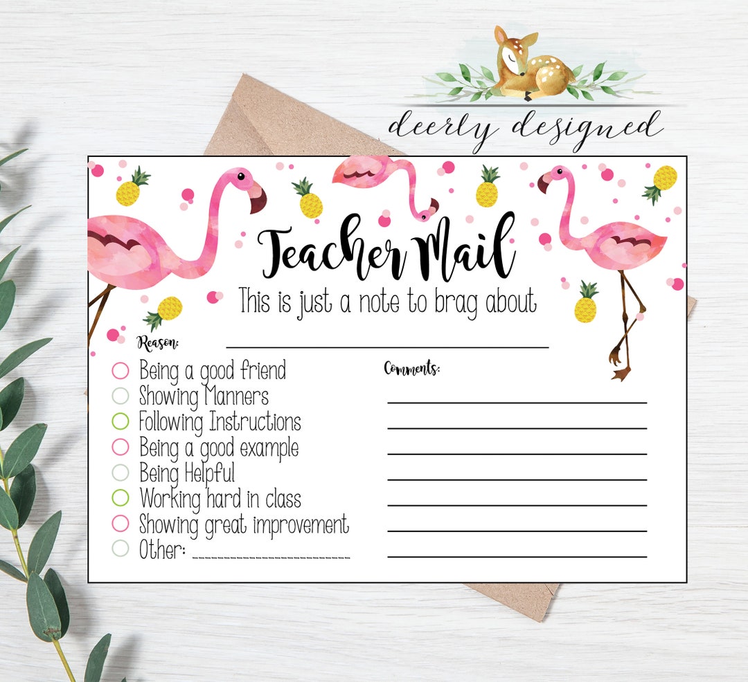 Teacher Mail - Flamingo and Pineapple Note From the Teacher - Teacher ...