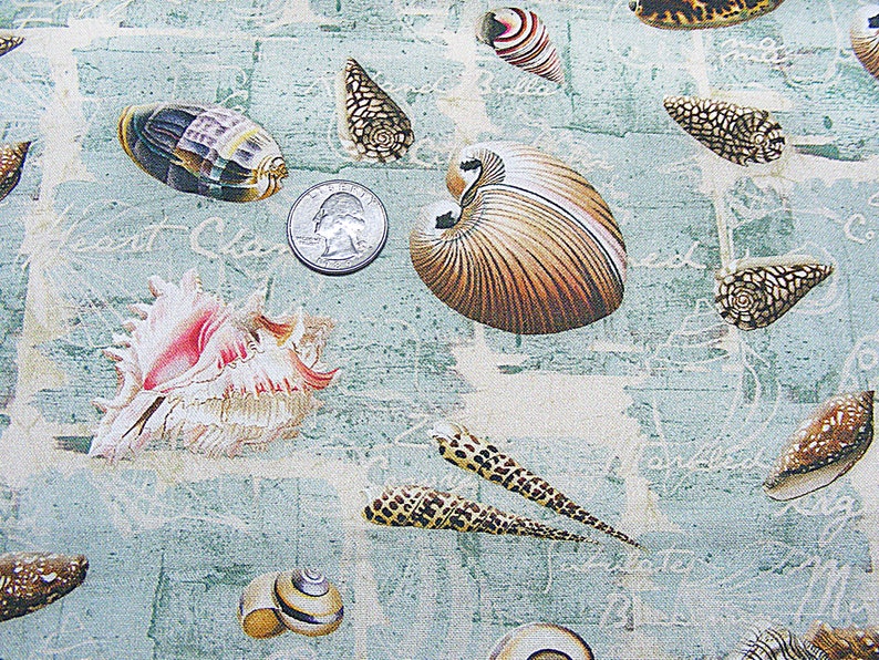 Shell Collection Fabric-by the 1/2 Yard & | Etsy