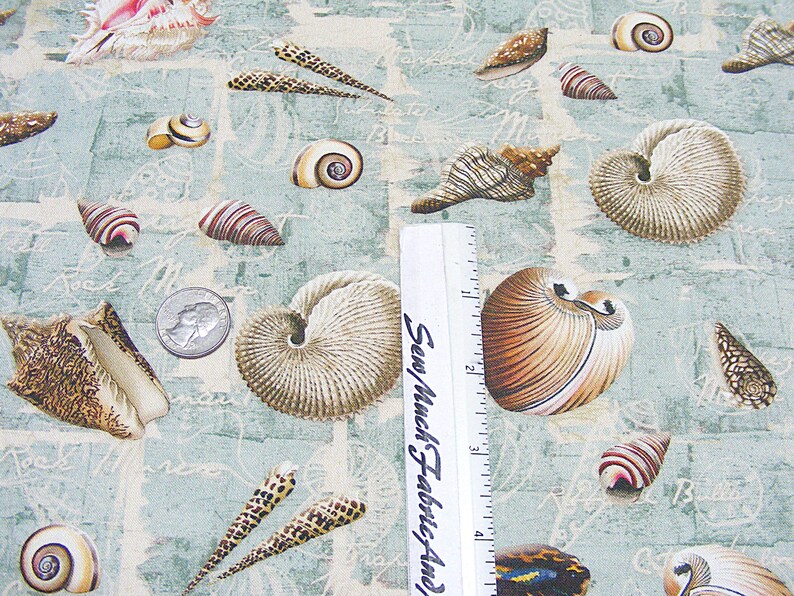 Shell Collection Fabric-by the 1/2 Yard & - Etsy