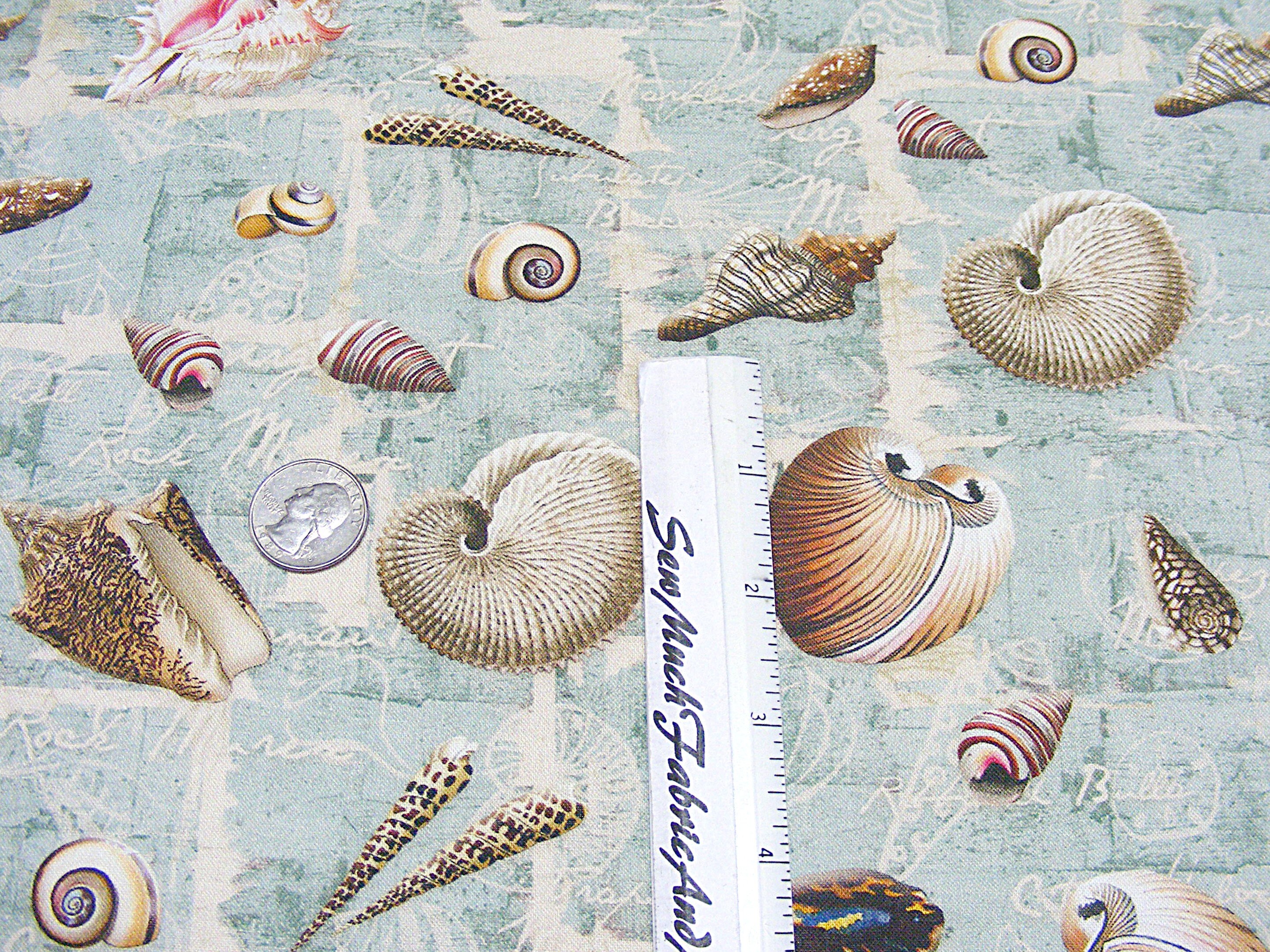 Shell Collection fabric-by the 1/2 yard & | Etsy