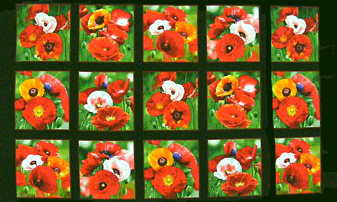 Poppies Fabric Panel-elizabeth's Studio-24"x44"-15 Squares-cotton - Etsy