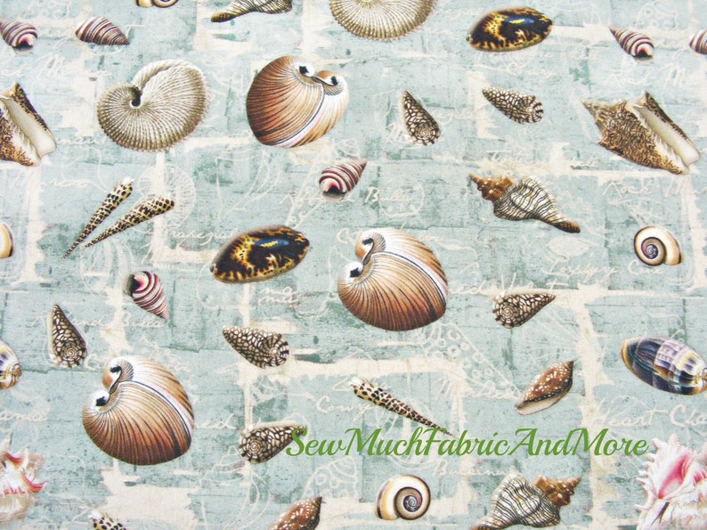 Shell Collection Fabric-by the 1/2 Yard & | Etsy