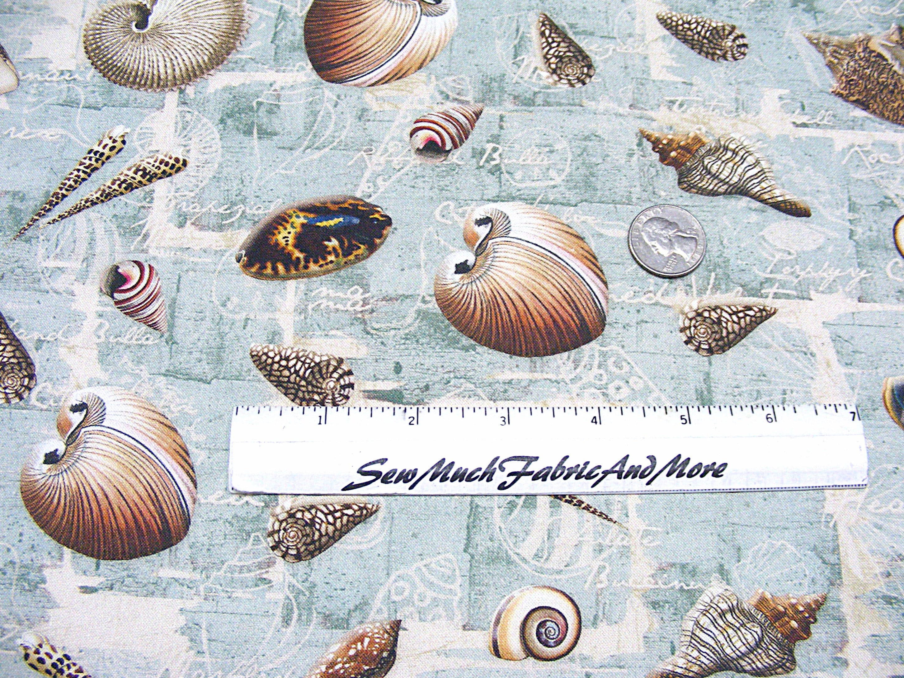 Shell Collection fabric-by the 1/2 yard & | Etsy