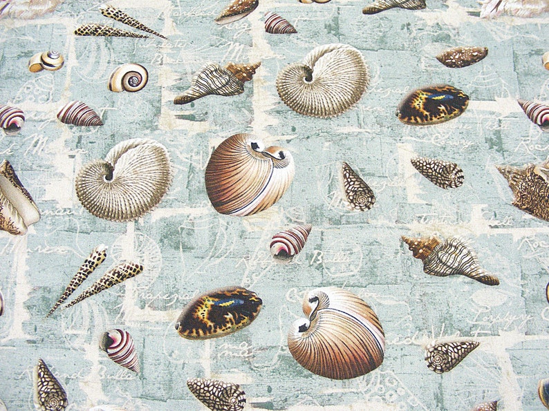 Shell Collection Fabric-by the 1/2 Yard & Yard-seashells-springs ...