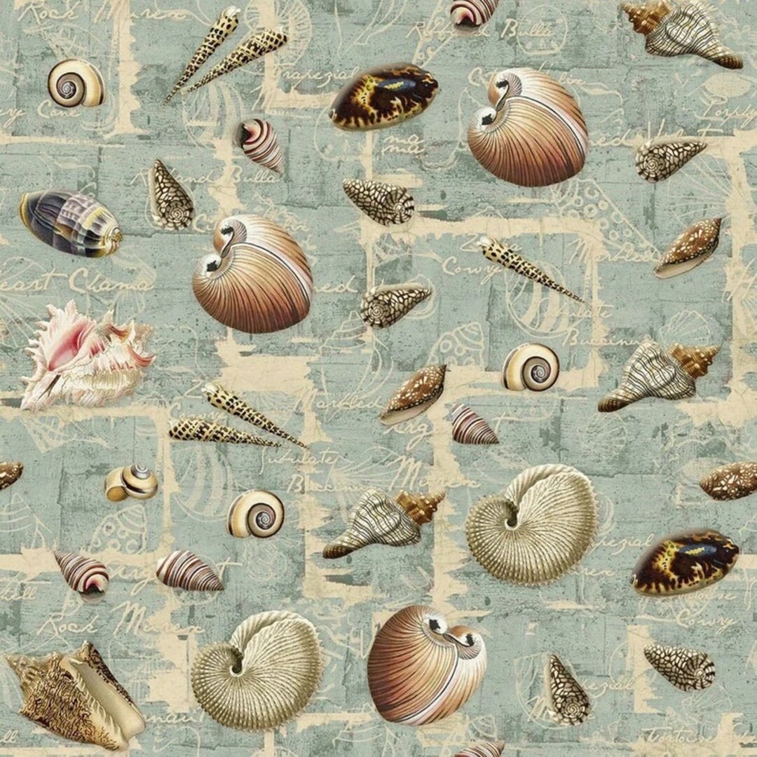 Shell Collection Fabric-by the 1/2 Yard & Yard-seashells-springs ...