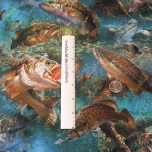 Stillwater Fish Remnants-2 Pieces-bass-catfish-trout-cotton - Etsy