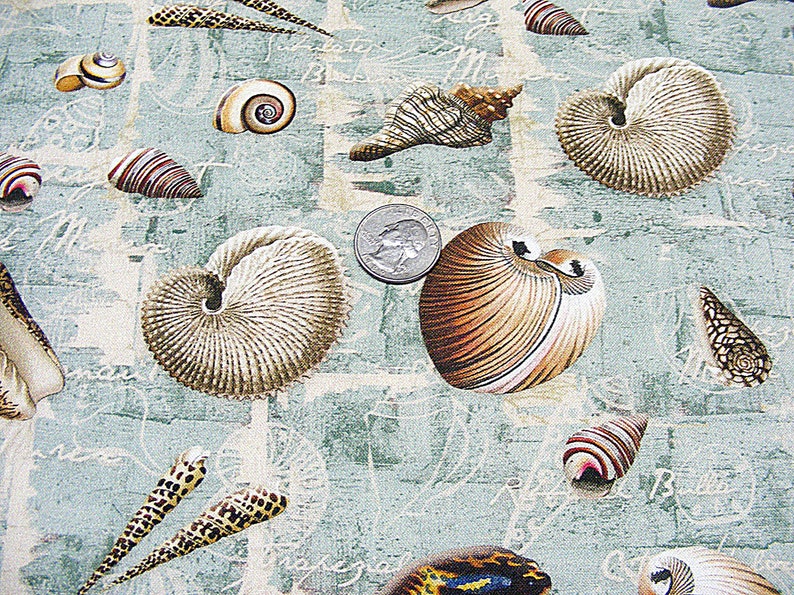 Shell Collection Fabric-by the 1/2 Yard & | Etsy