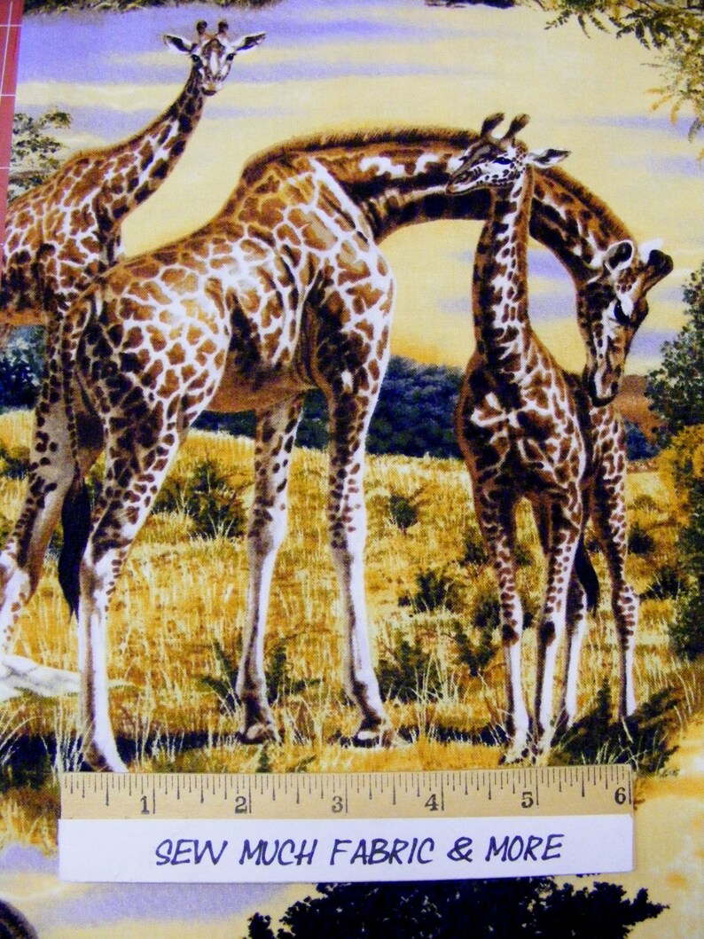 Bringing Nature Home - Etsy