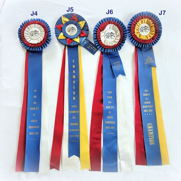 Horse Show Ribbons - Etsy