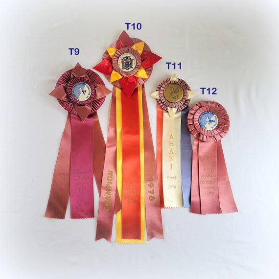 1970s Equestrian Awards Vintage Horse Show Ribbon Ribbons with Rosettes ...