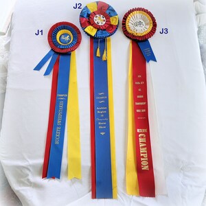 Vintage 1980's and 90's Rosette Ribbons, Equestrian Trophies, Awards ...