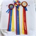 Vintage 1980's and 90's Rosette Ribbons, Equestrian Trophies, Awards ...