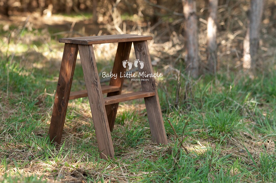 Wooden Ladder, Photo Prop, Sitters Prop, Wooden Stool, Brown Ladder ...