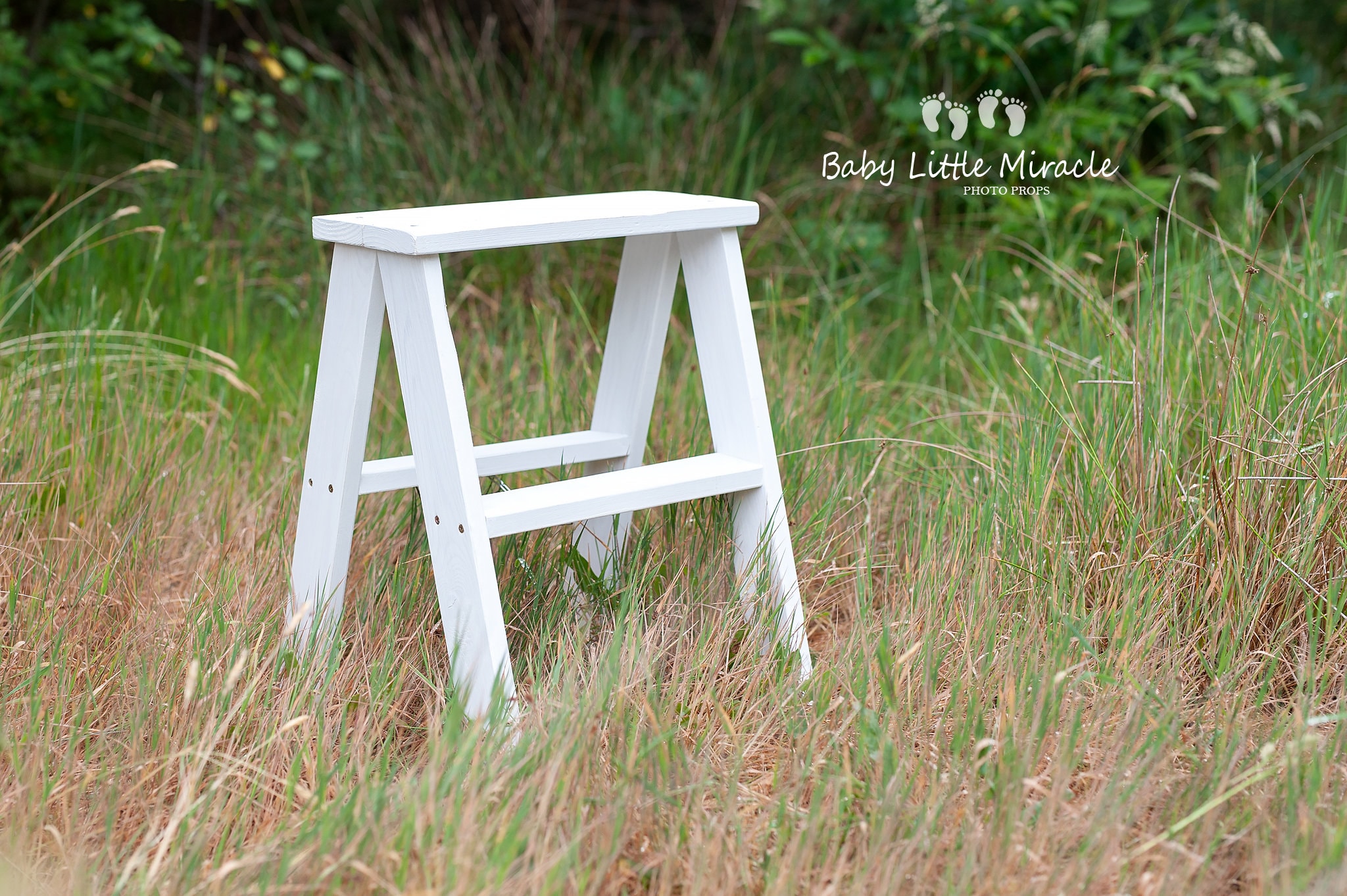 Wooden Ladder, Photo Prop, Sitters Prop, Wooden Stool, White Ladder ...