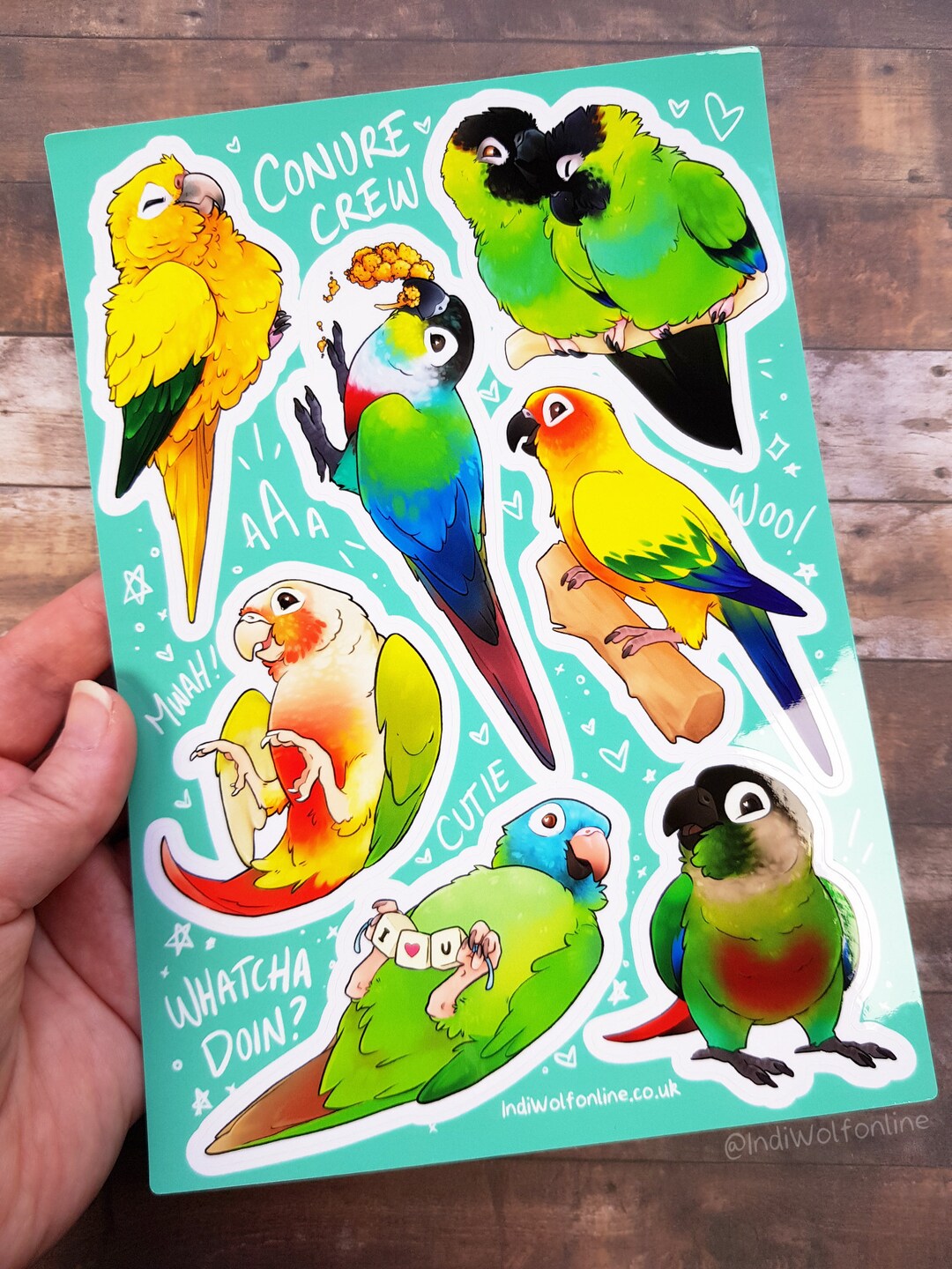 Conure Crew Clear Vinyl A5 Sticker Sheet - Etsy