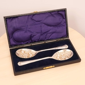 Spoon Set || 2 Spoons in a Box || Set of Two || Marked EPNS - Etsy
