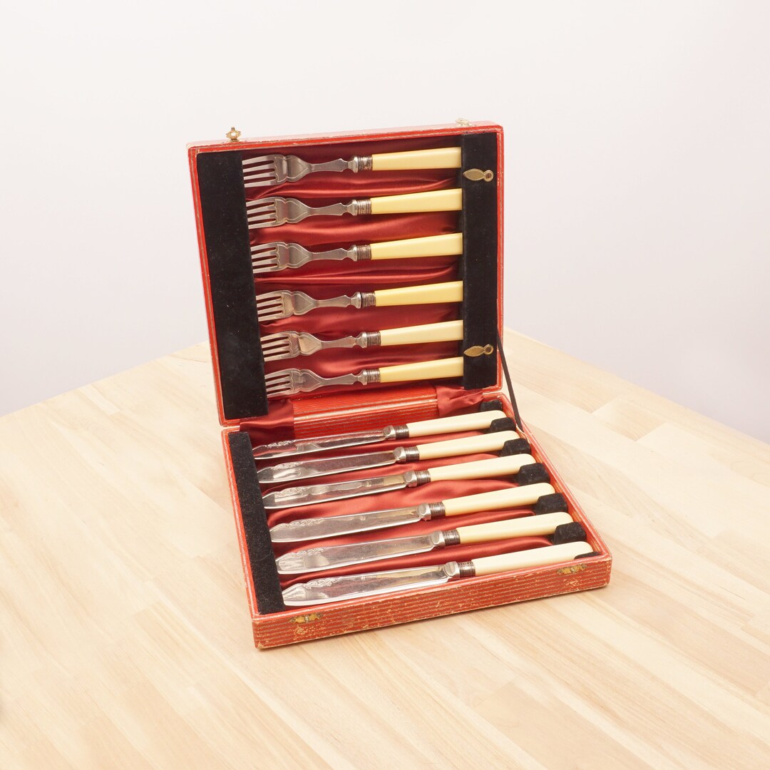 Fork and Knife Set of 6 || EPNS / Silver Plated || Fabric Inlay || Set ...