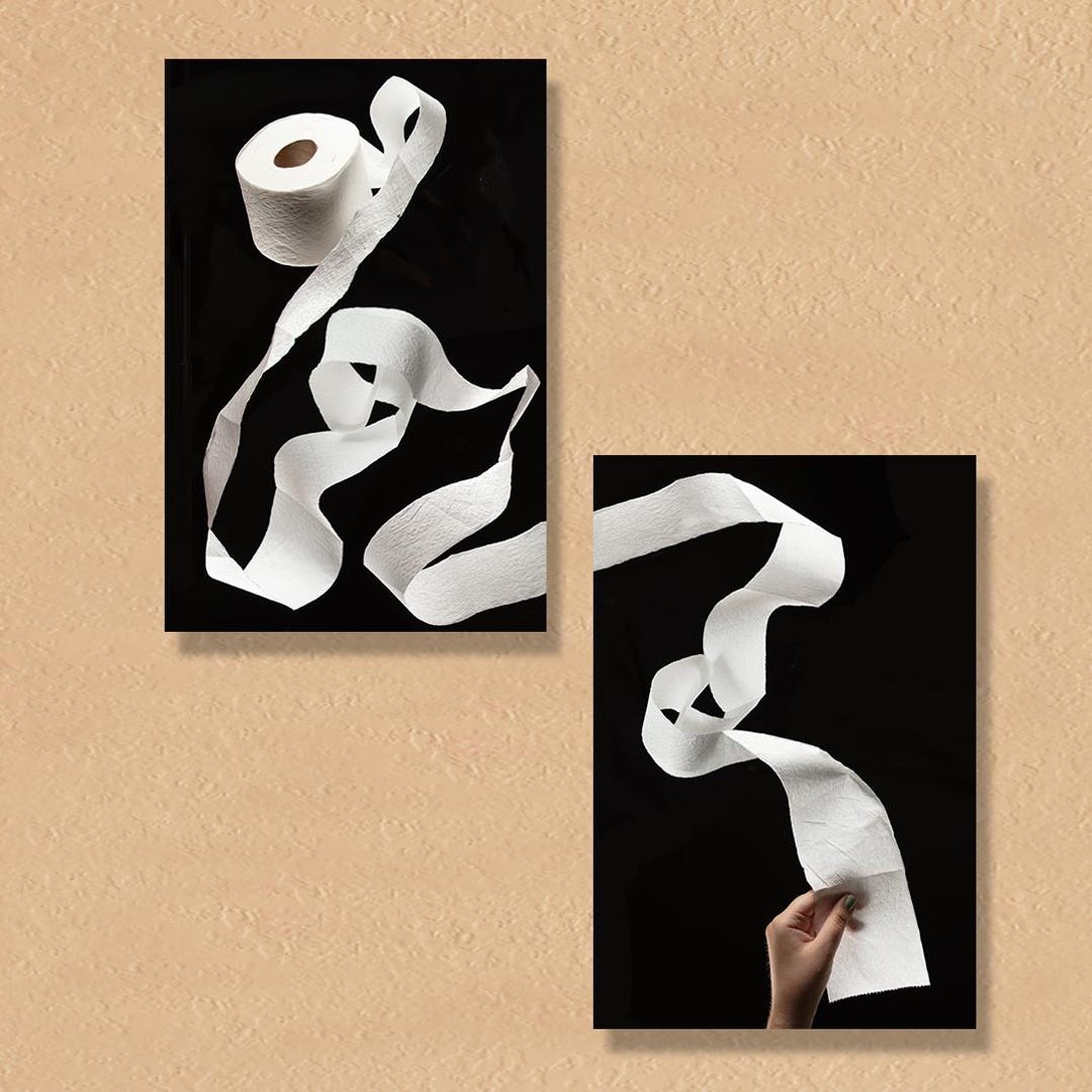 Toilet Paper Metal Print Collage, Funny Restroom Art, Limited Edition ...