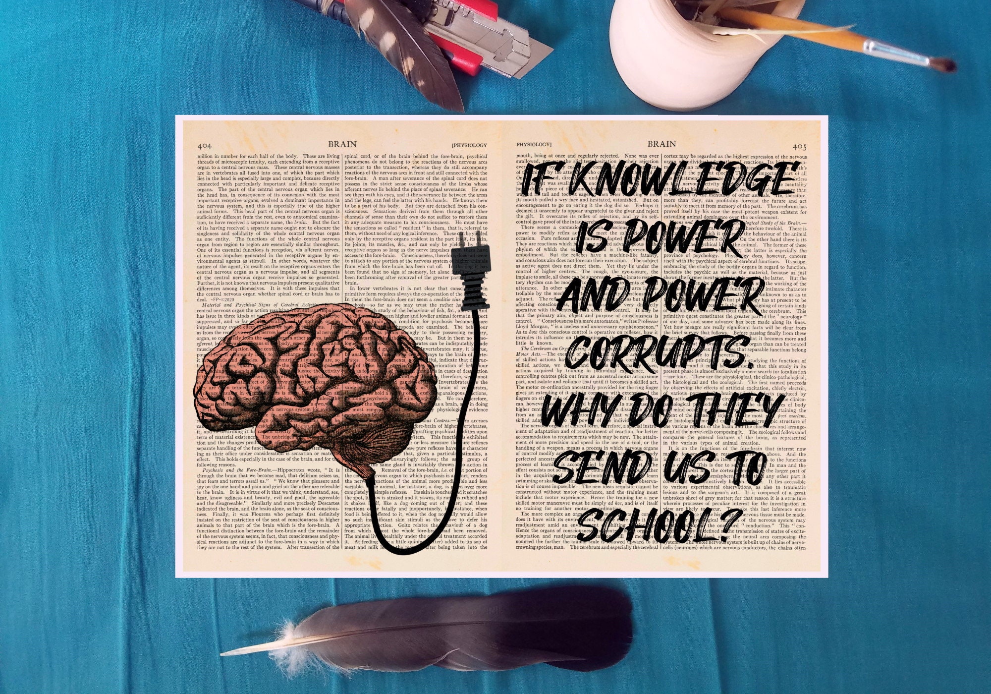 The Human Brain Quotes