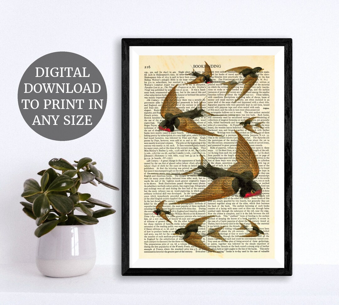Swallows Bird - Wall Art Printables, Boho Printable Wall Art, Printable ...