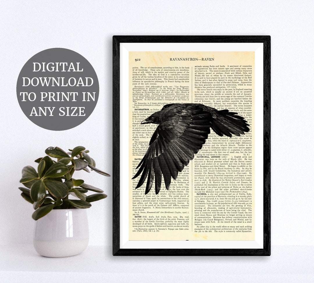 Raven in Flight, Gothic Art Print, Printable Wall Art, Eclectic, Crow ...