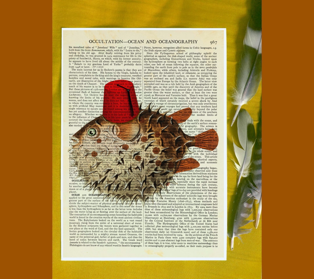 Fishing Is, Gone Fishing Art Decor, Eclectic, Puffer Fish Art, Vintage ...