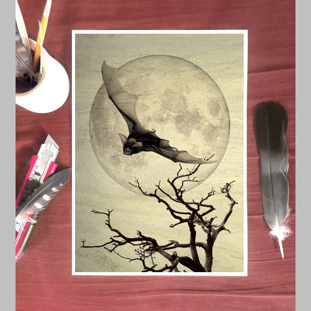 Bat Print - Moon, Bat Art, Gothic, Eclectic Wall Art, Gothic Bats ...