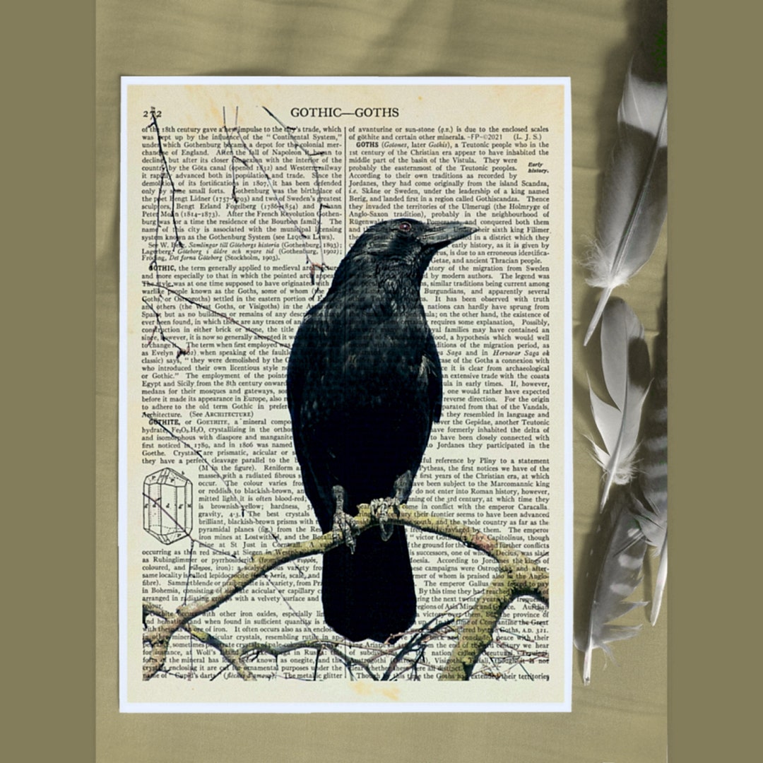 Perched Crow - Book Page Reproduction, Crow Art, Raven, Edgar Allan Poe ...