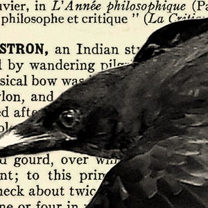 Raven, Crow Art, Mjolnir Raven, Eclectic Wall Art, Edgar Allan Poe ...