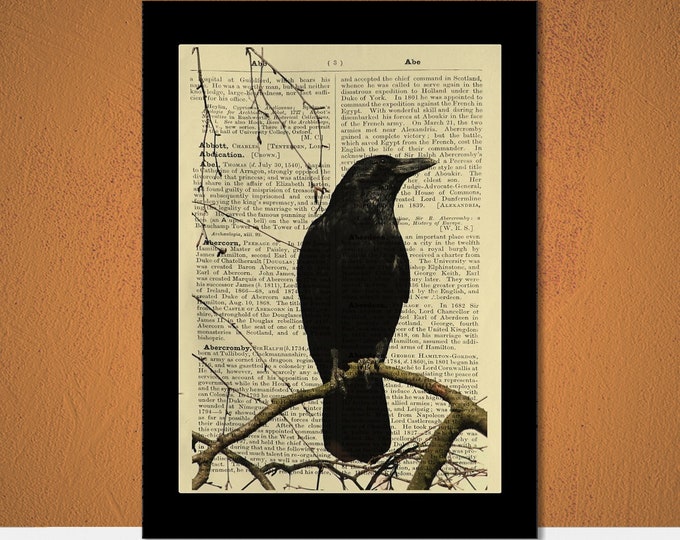 Philosopher Crow Signed Fine Art Photograph by June Hunter, Crow ...