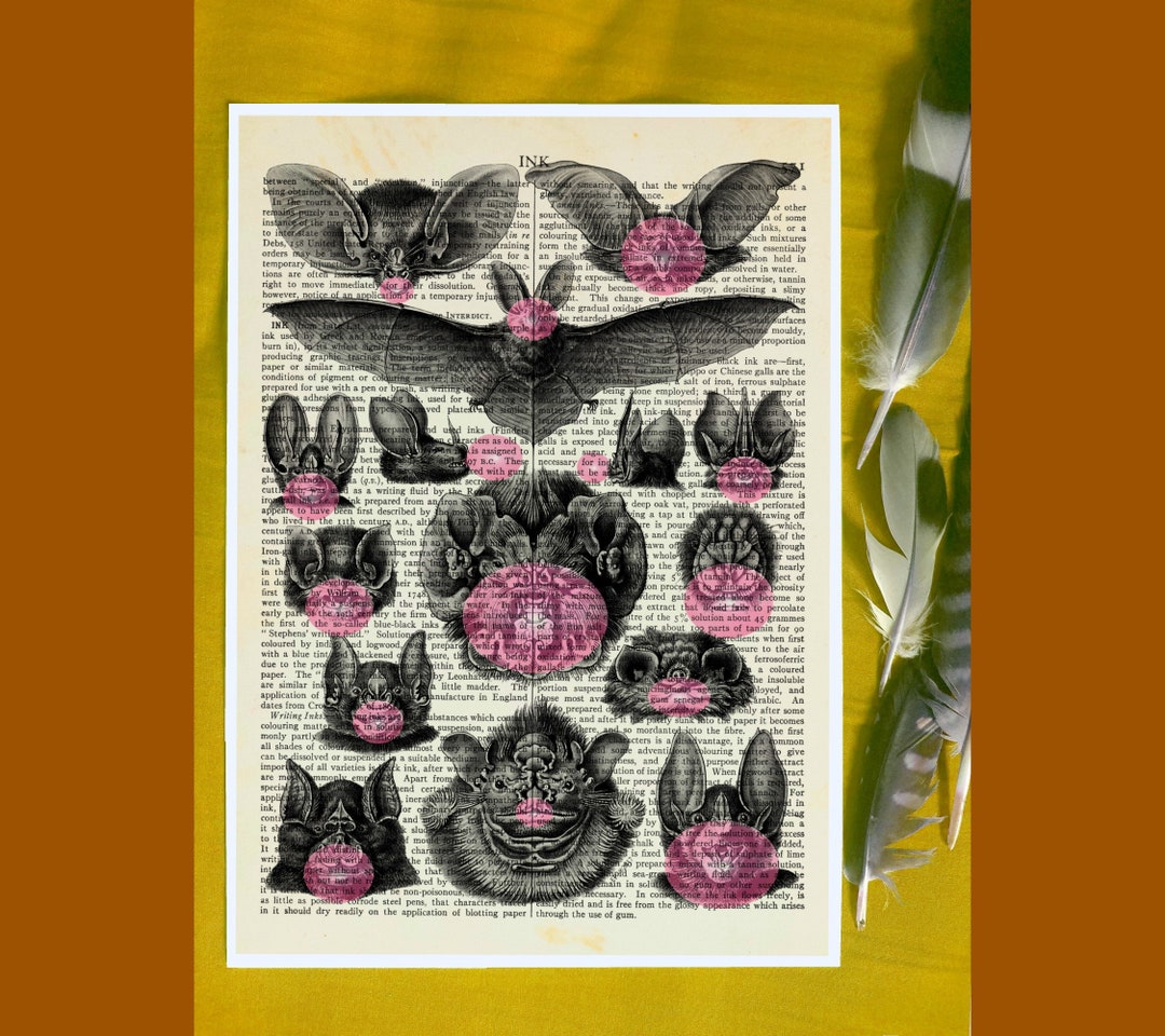 Gothic Bats - Bat Art, Eclectic Wall Decor, Gothic Wall Art, Funny ...